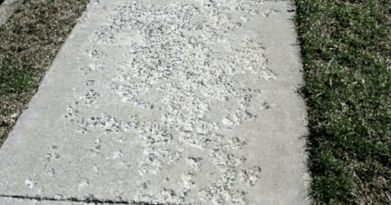 How to Repair Salt Damaged Concrete Effectively Guide